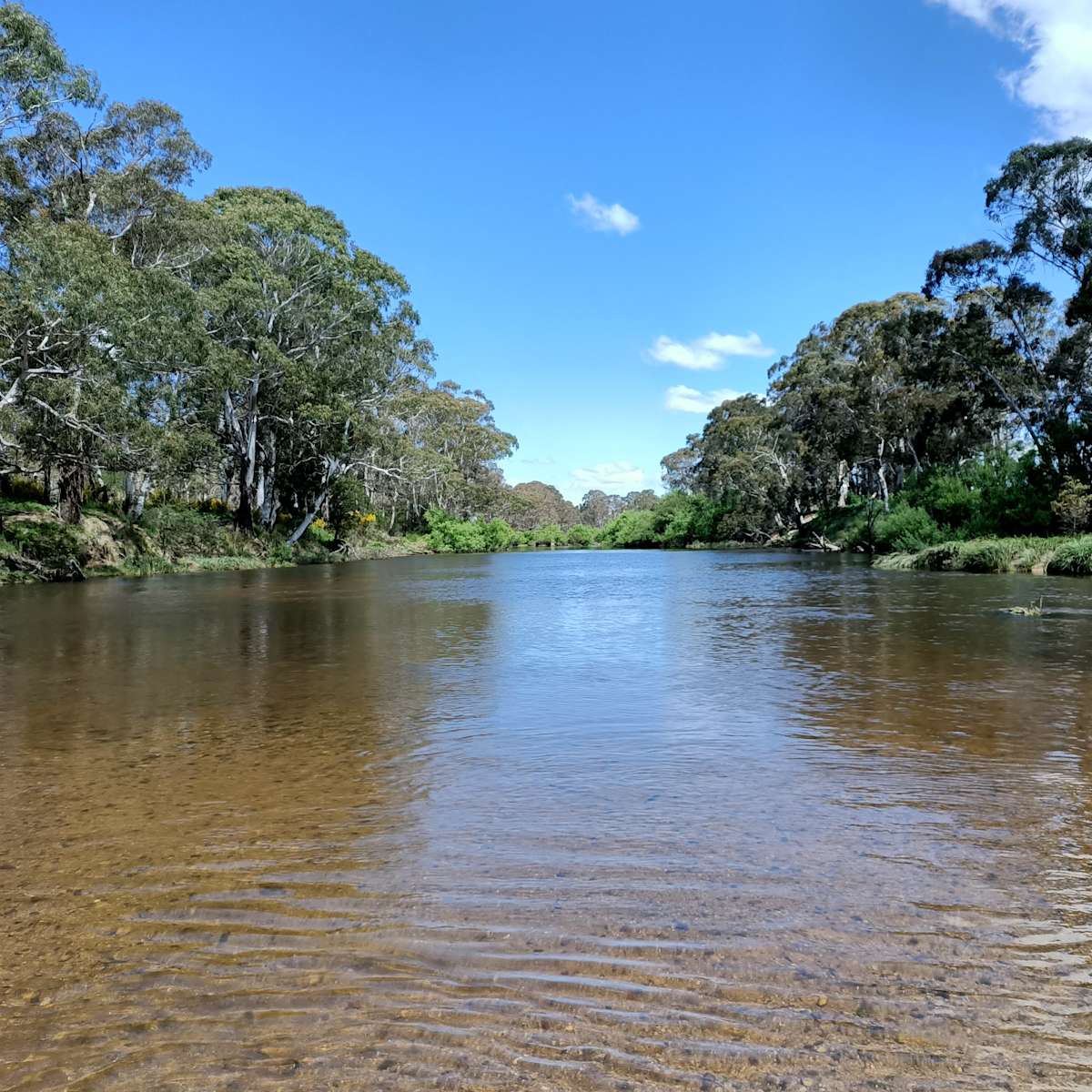 The River Block, Bendoura - Hipcamp in Bendoura, New South Wales
