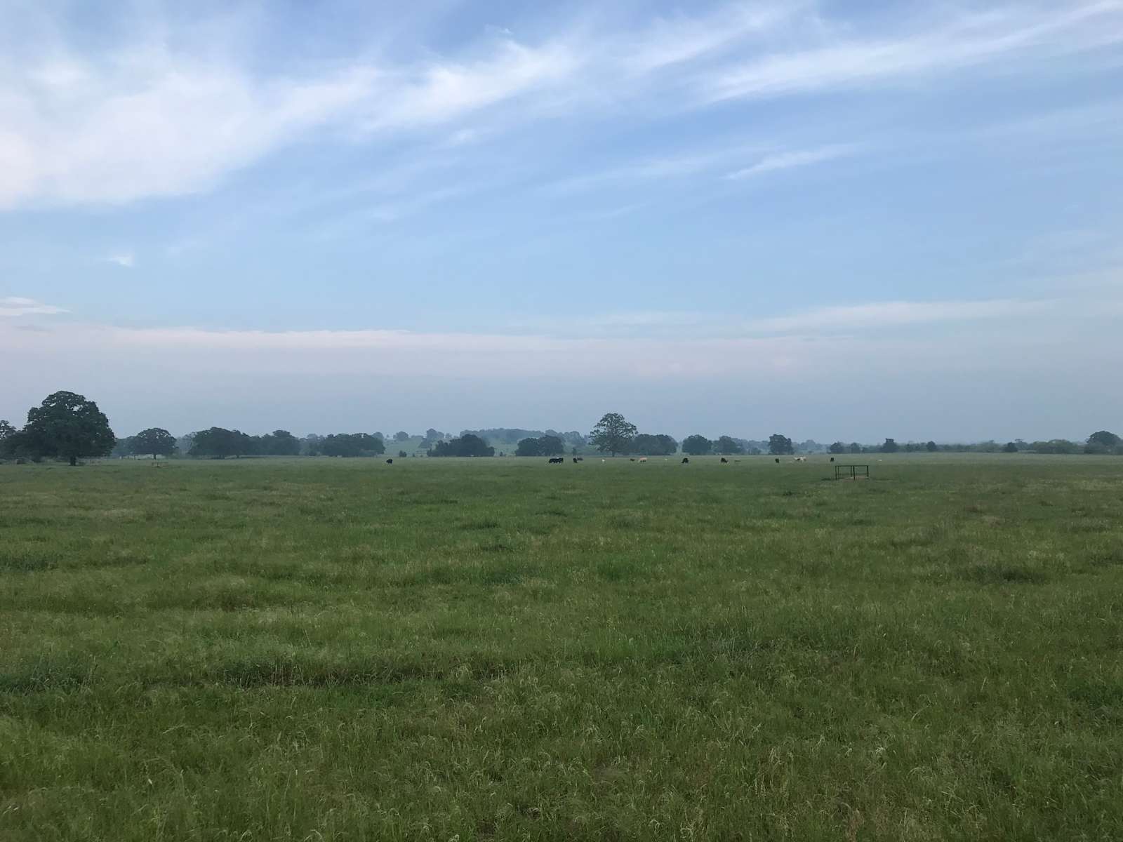Campin' on the Prairie - Hipcamp in Smithville, Texas