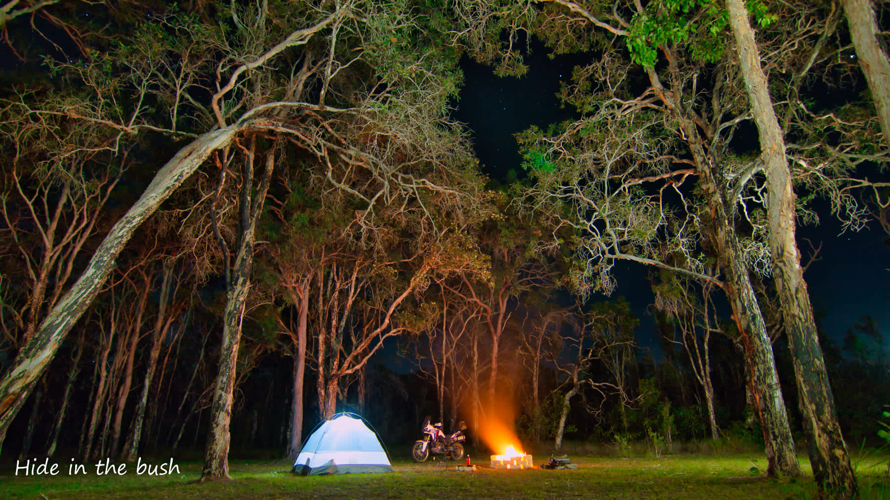 Bloodwood Bush Shack - Hipcamp in Agnes Water, Queensland
