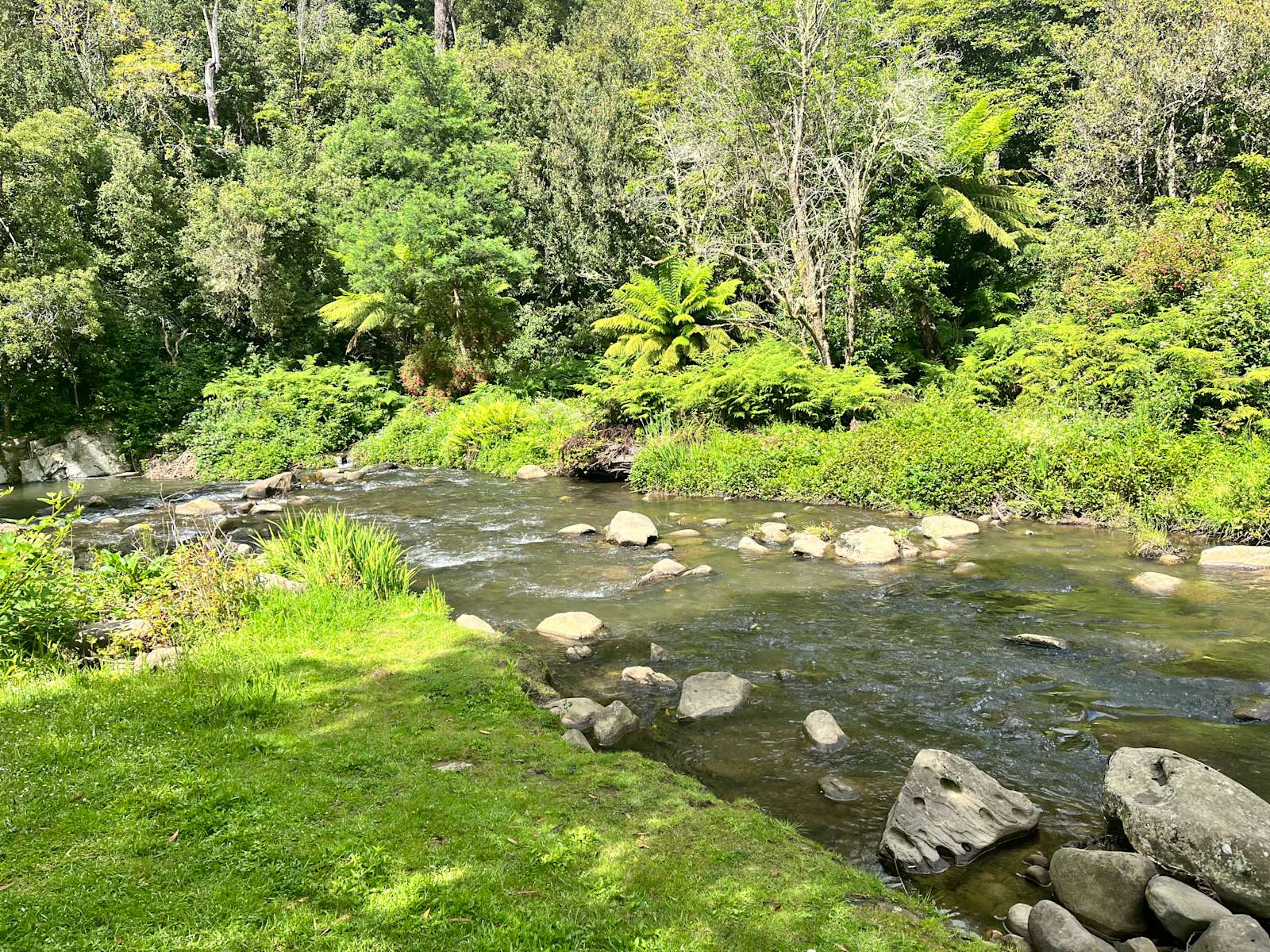The Love Shack + Extras welcome - Hipcamp in Tarra Valley, Victoria