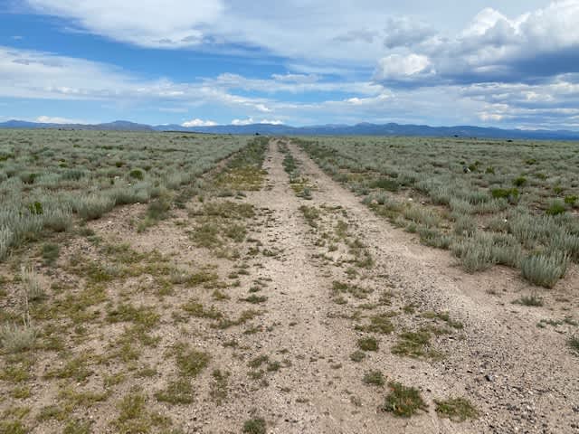 Land in Colorado - Hipcamp in Blanca, Colorado