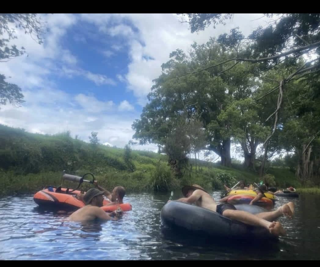 Boat Harbour on the Rous - Hipcamp in North Arm, New South Wales