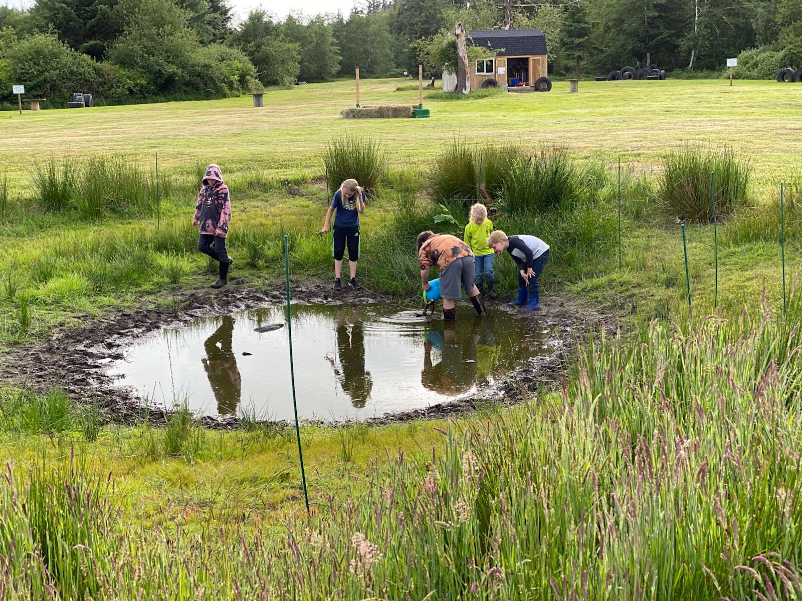 Rhett's Ranch - Hipcamp in Chinook, Washington
