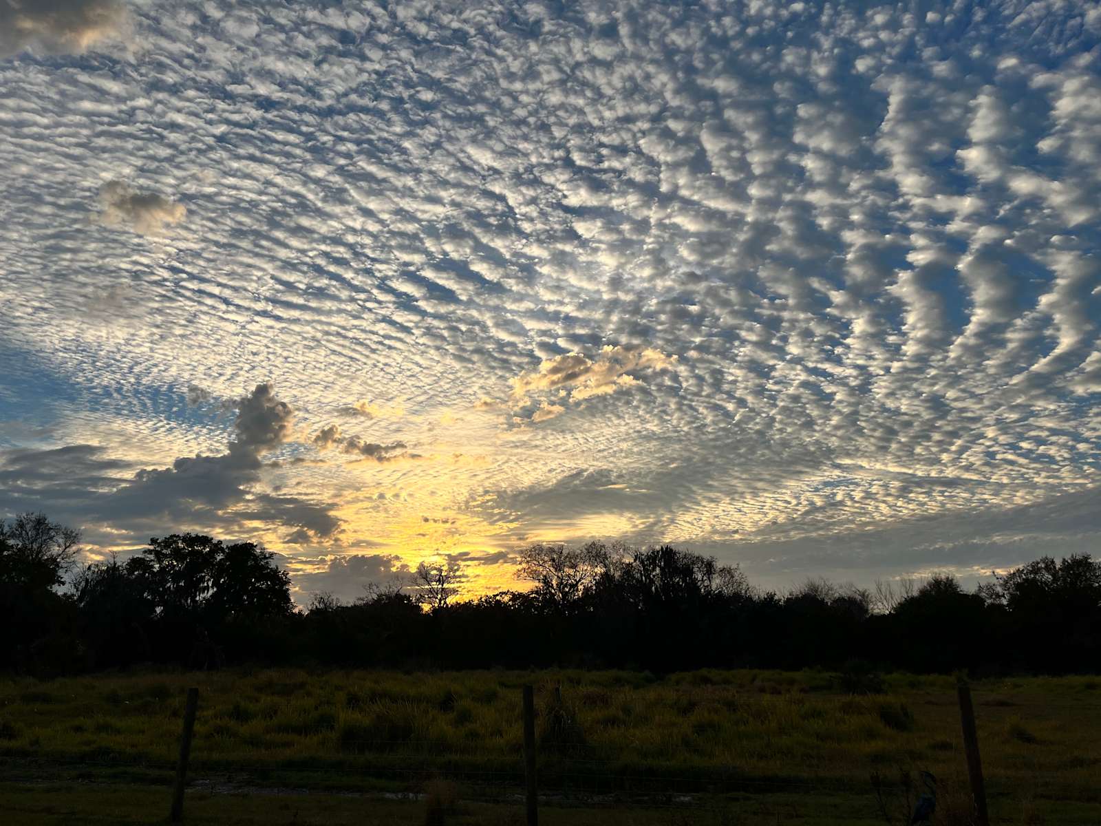 Lauri C.’s Land - Hipcamp in Memphis, Florida