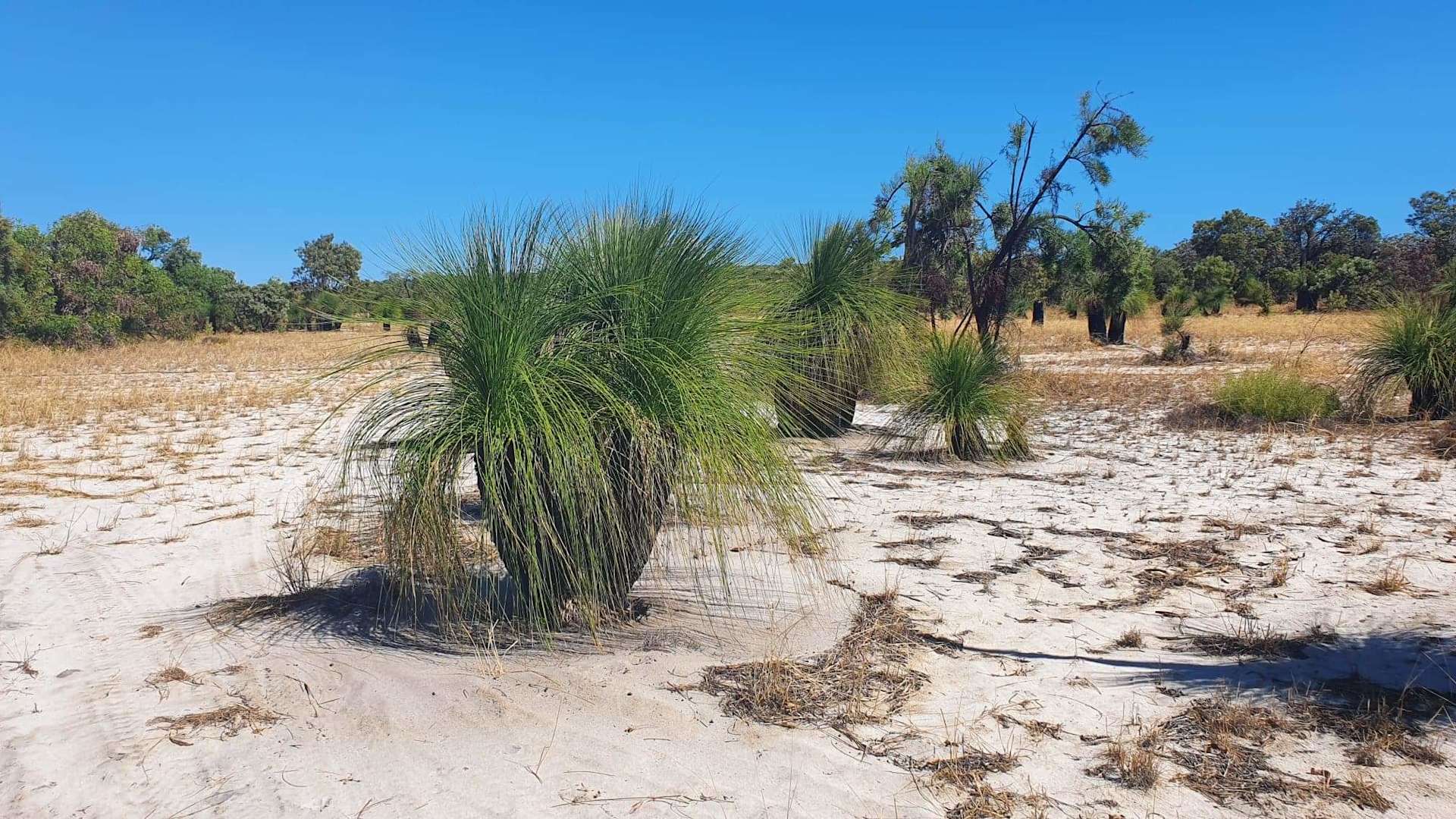 Cowalla Bush Camp - Hipcamp in Cowalla, Western Australia
