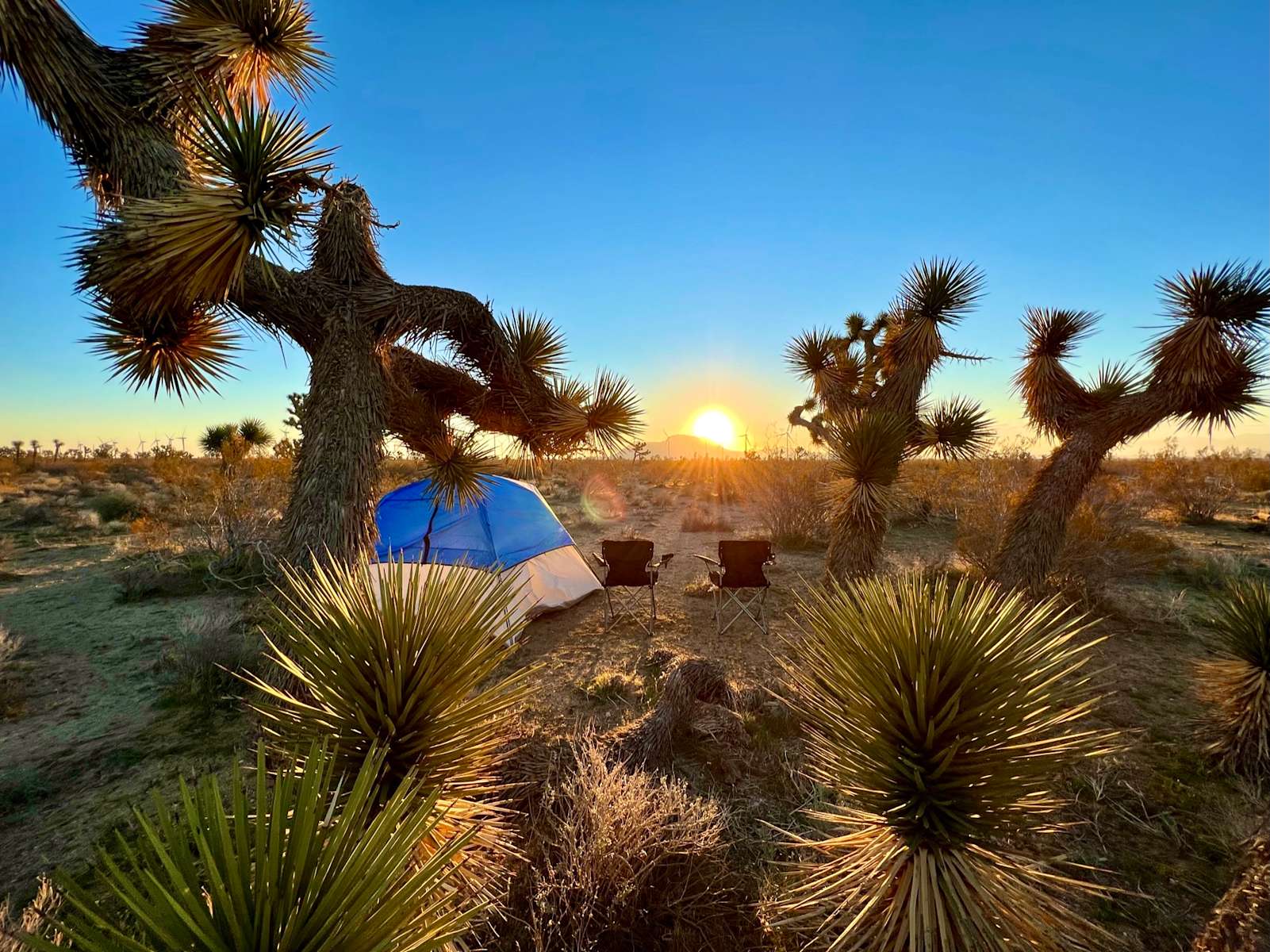 Wind Walker Ranch - Hipcamp in Mojave, California