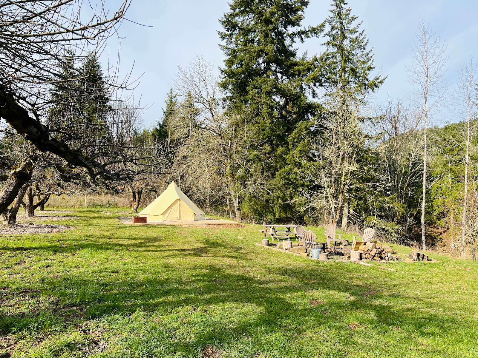 Yurt Camp on Farm - Hipcamp in Forest Grove, Oregon