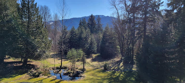 The Enchanted Forest - Hipcamp in Ashford, Washington