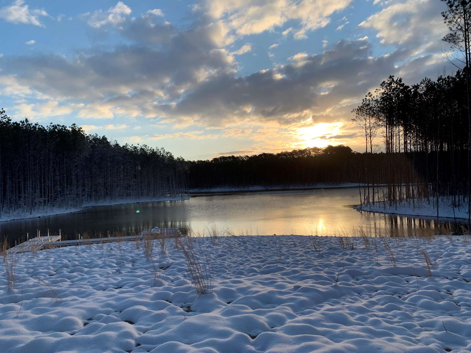 Lazy Acres Lake - Hipcamp in Lexington, Tennessee
