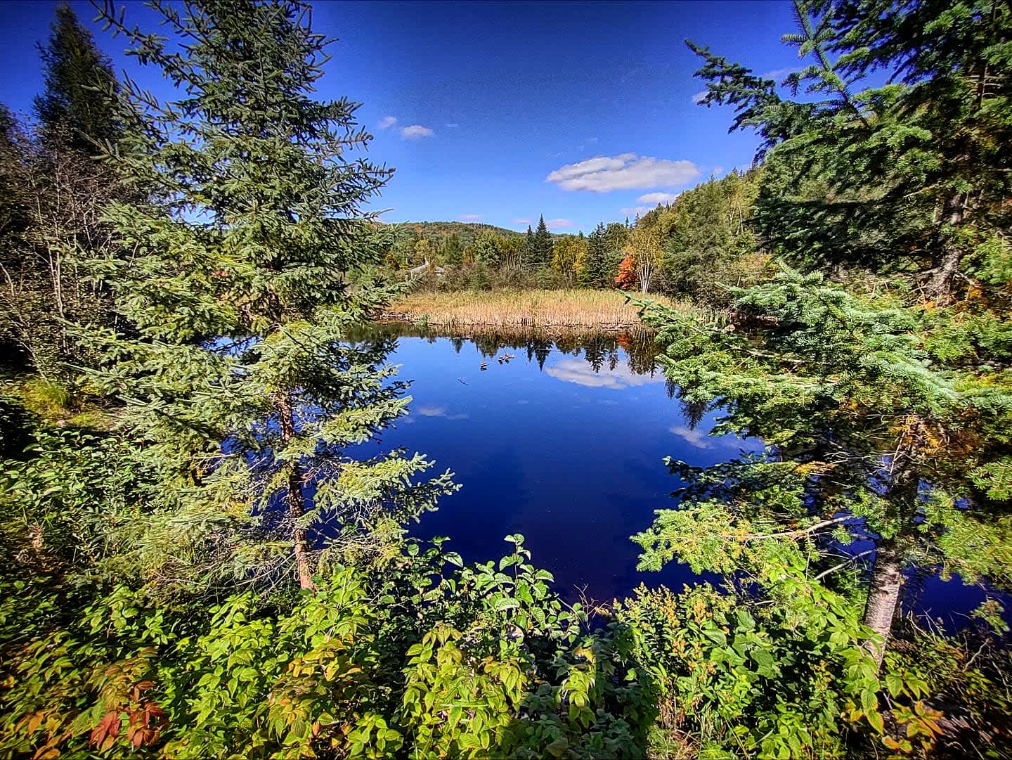 Little Forest Lake - Hipcamp in La Bostonnais, Quebec