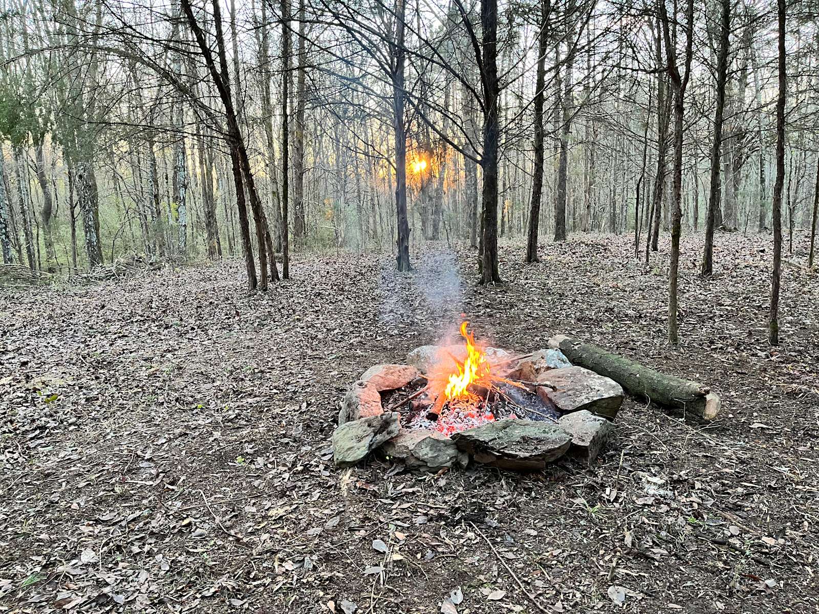 Evergreen Acres - Hipcamp in Monroe, North Carolina