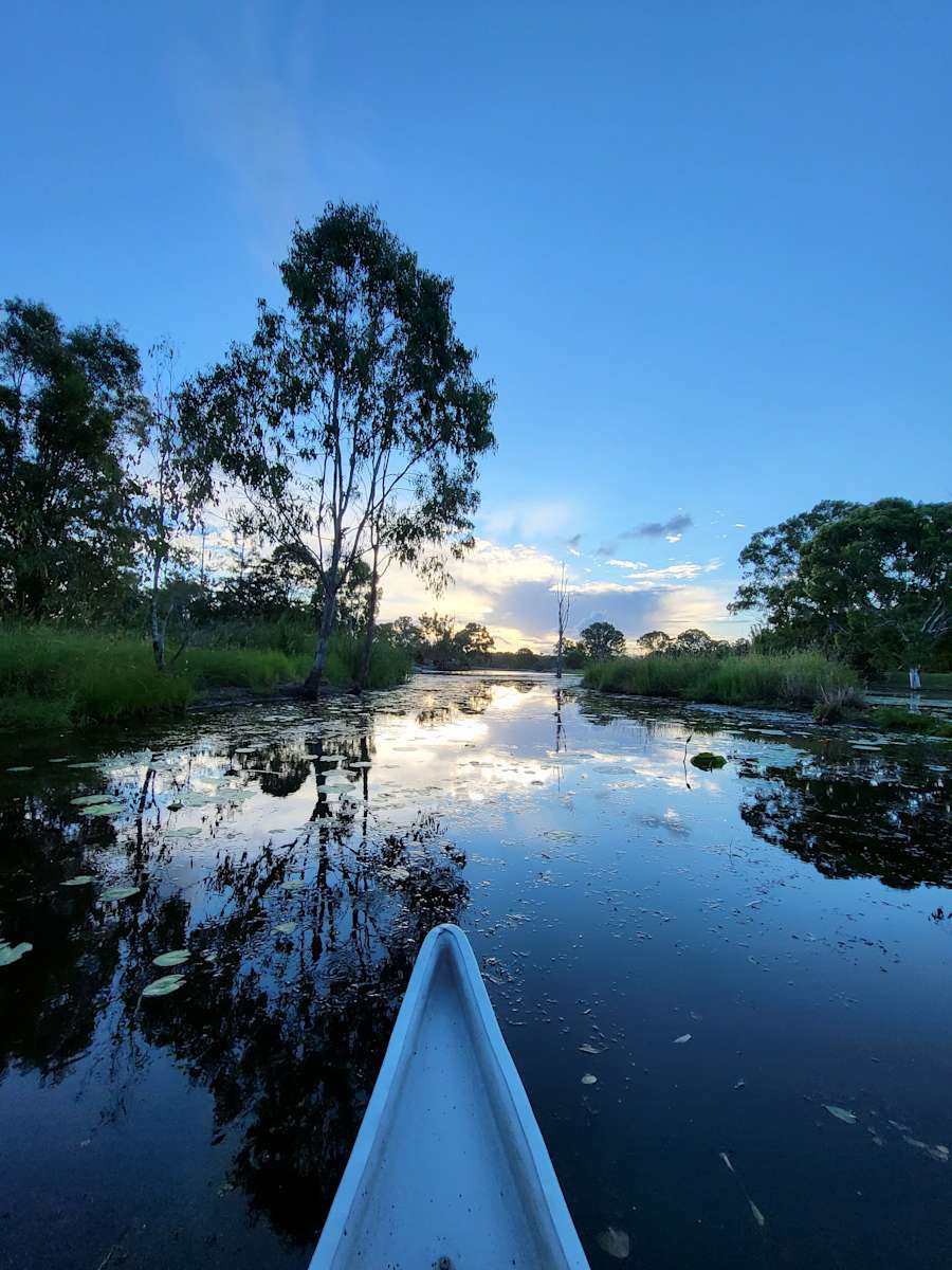Tweebine's Retreat - Hipcamp in Mothar Mountain, Queensland