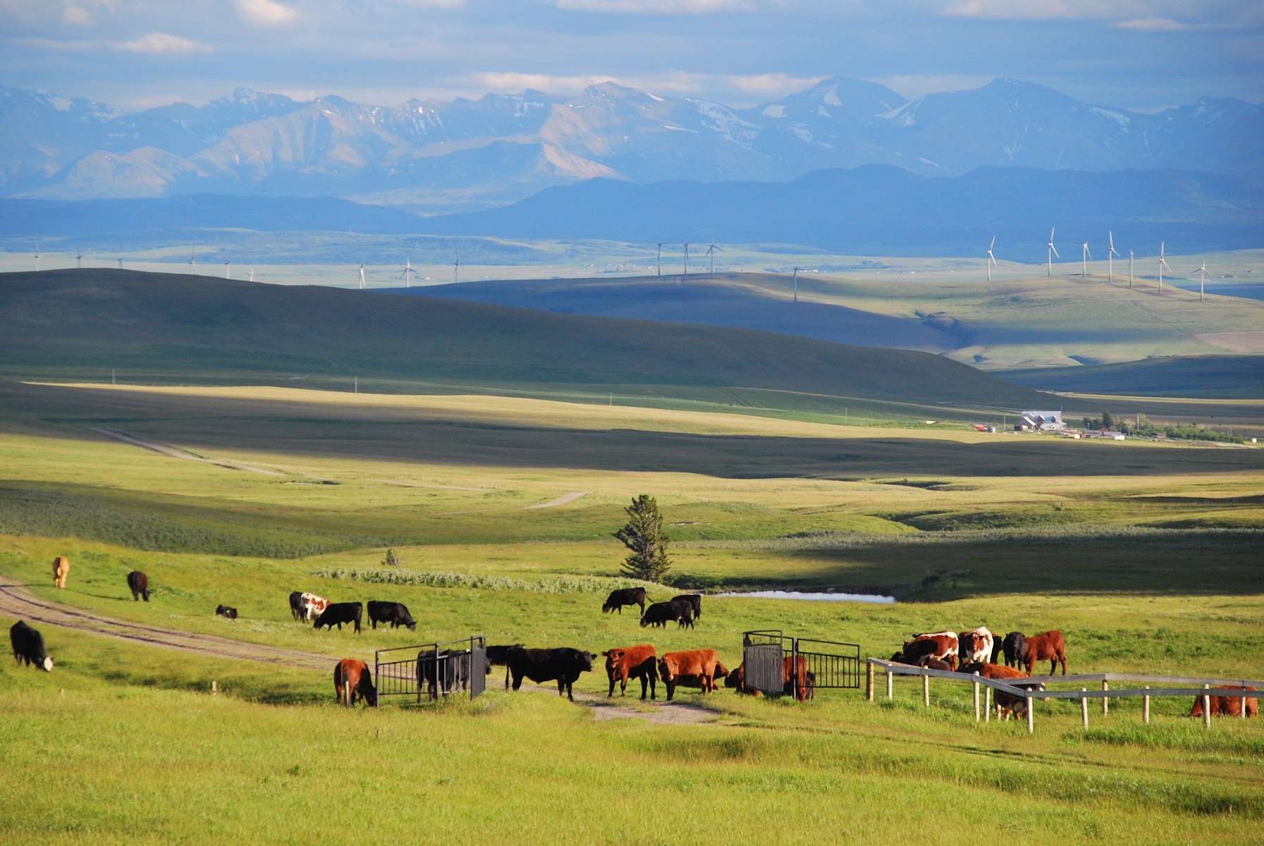 Flint Rock Ranch - Hipcamp in Claresholm, Alberta