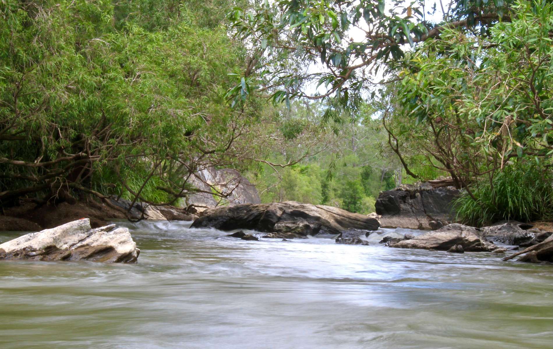 Barron River Camp - Hipcamp in Kuranda, Queensland