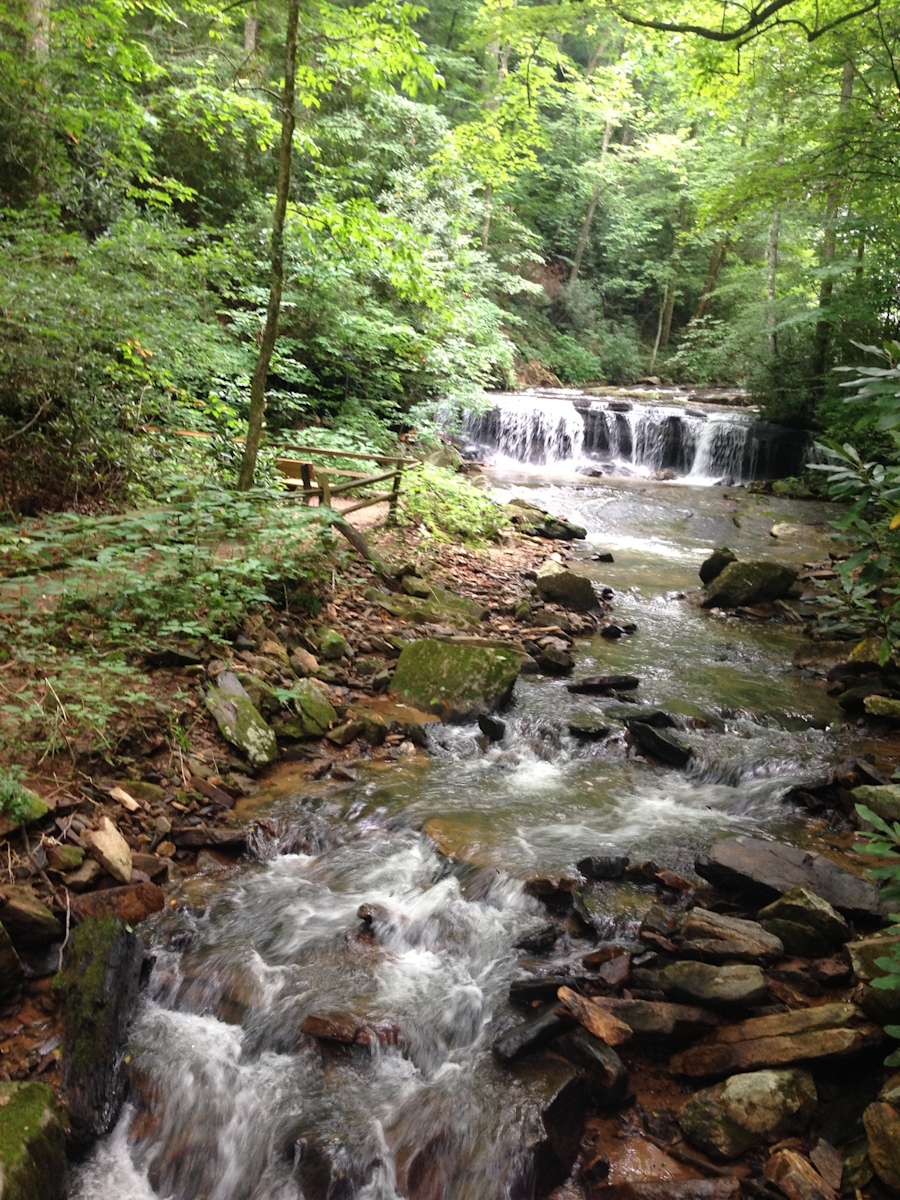 White Oak @ Camp David - Hipcamp in Saluda, North Carolina
