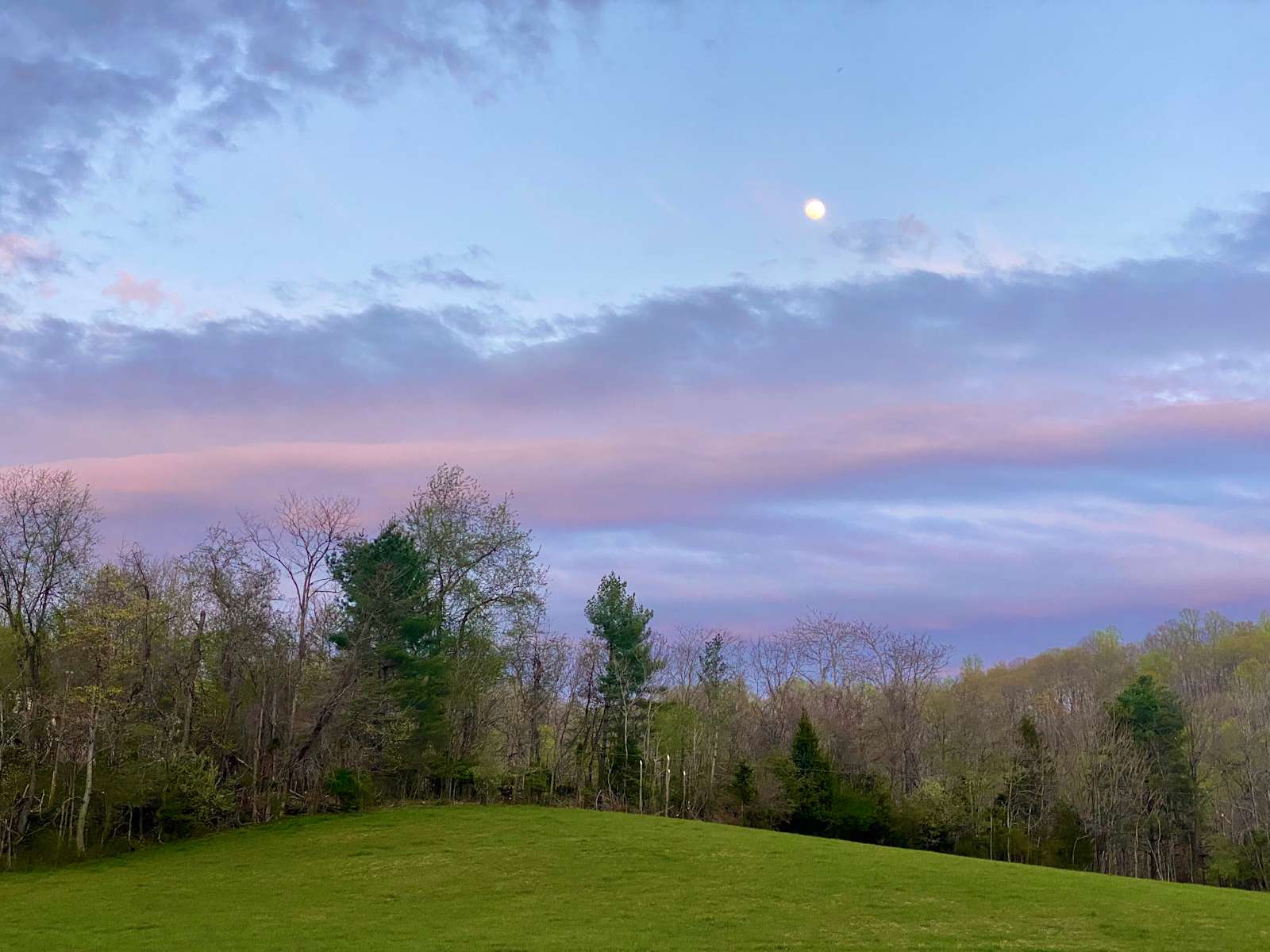 Mountain Cove Vineyards - Hipcamp in Lovingston, Virginia