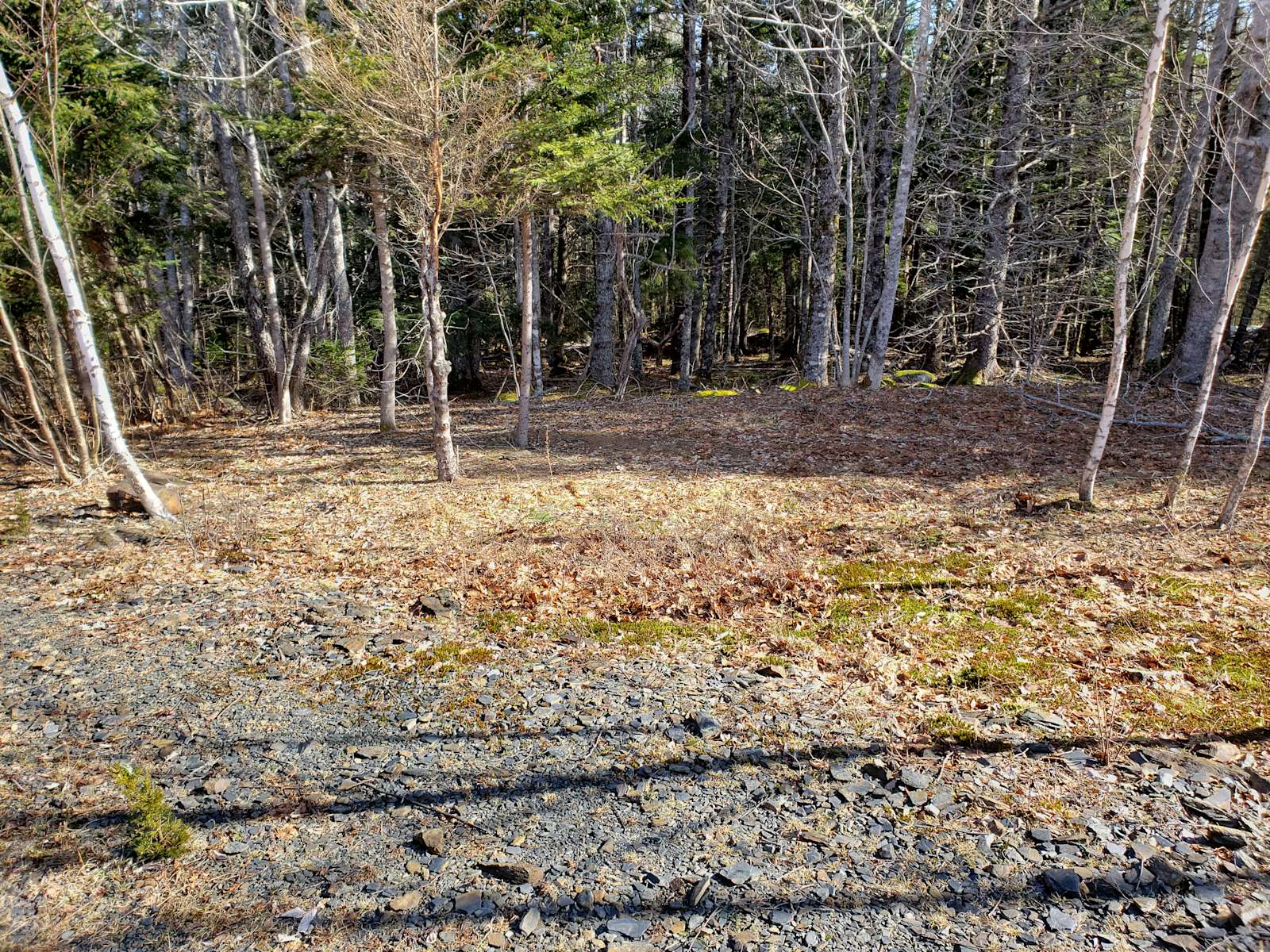 Stoneybrooke Farm - Hipcamp in , Nova Scotia