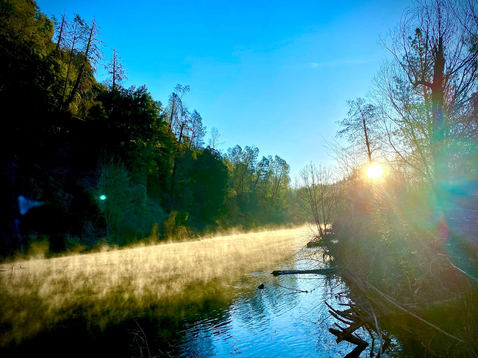 Trinity River FlyCamp - Hipcamp in Lewiston, California