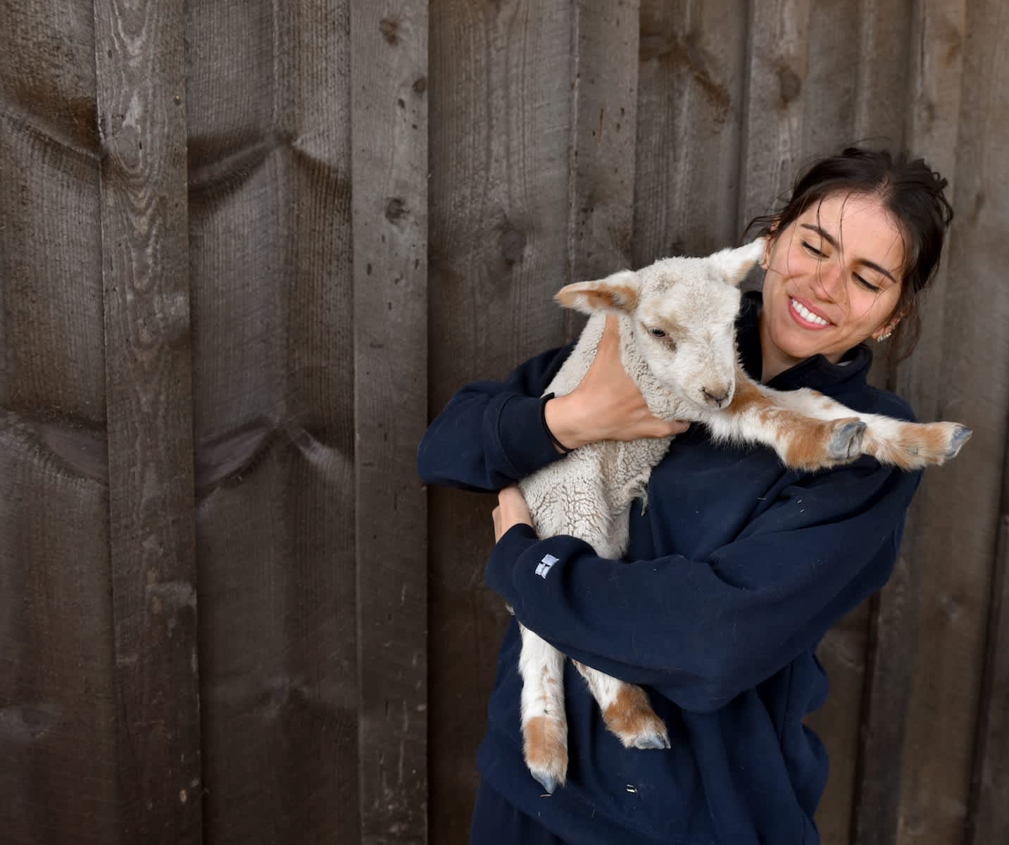 The Grand Ranch - Highland Cattle - Hipcamp in Kanarraville, Utah