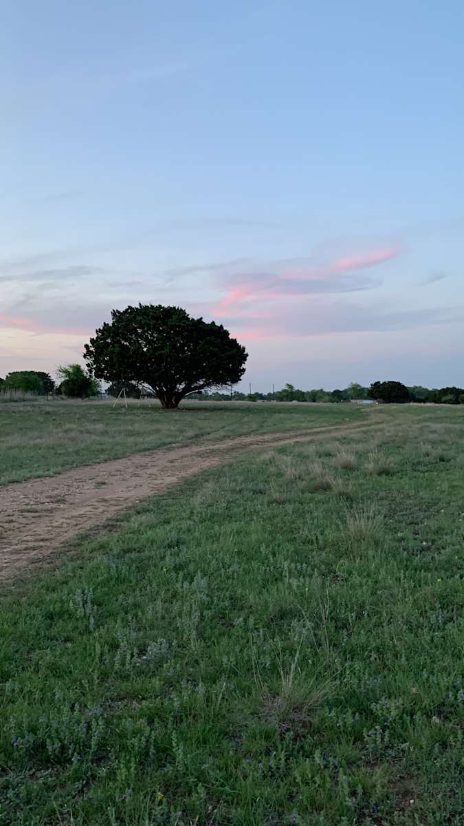 The Moody Goat - Hipcamp in , Texas