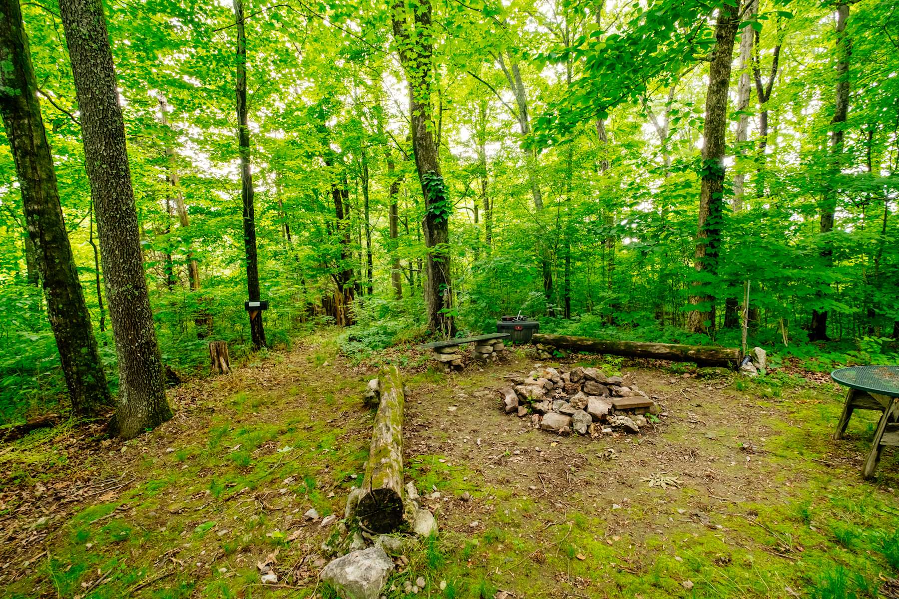 Secluded Black Fox Camping/Camper - Hipcamp in Luttrell, Tennessee