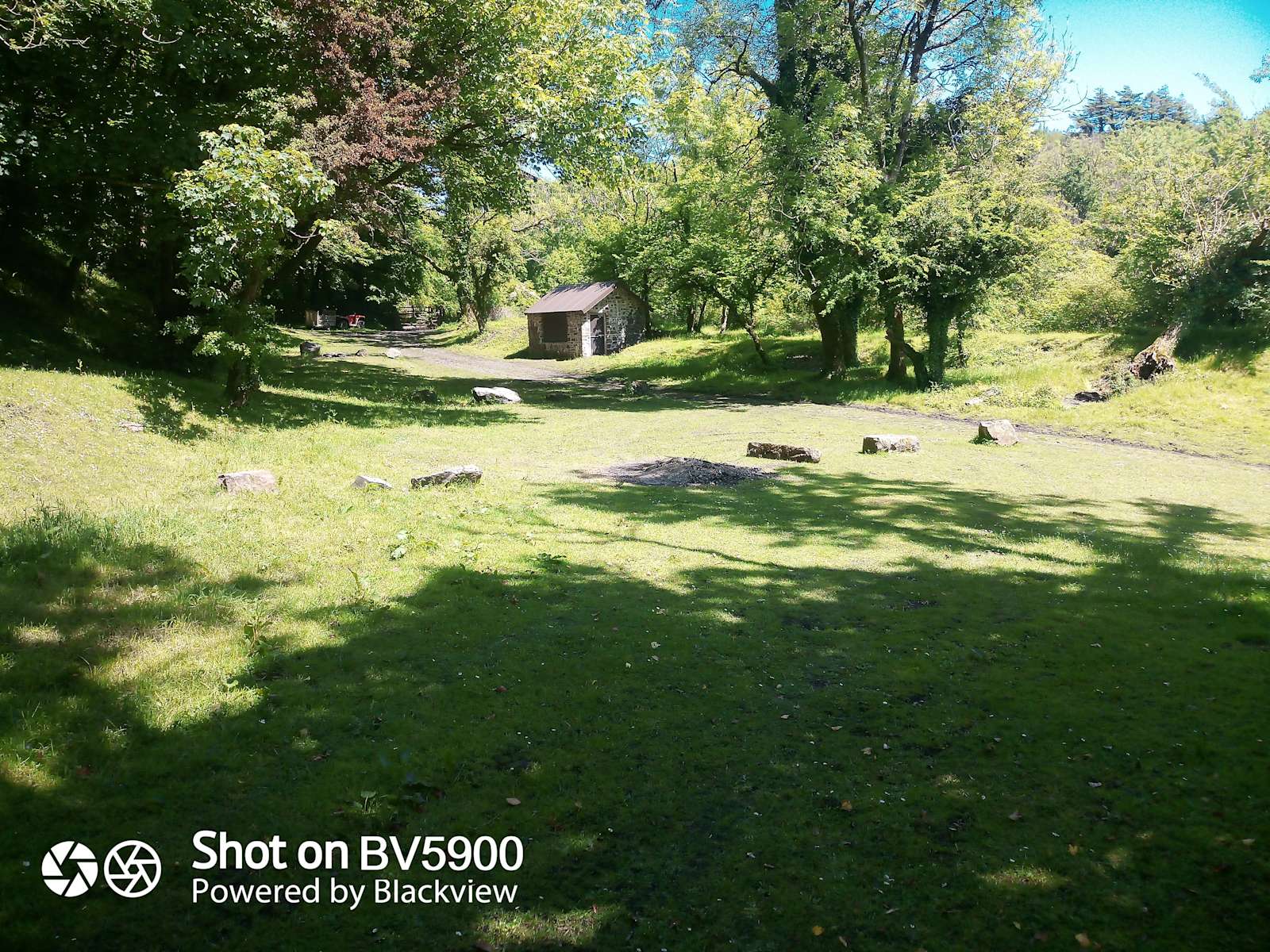 Meldon Lake and Woods - Hipcamp in Okehampton, England