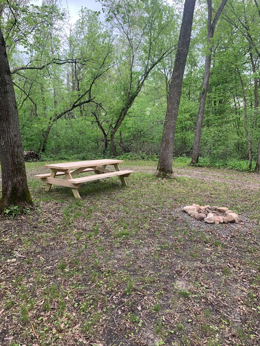 The Woods - Hipcamp in Greenwald, Minnesota