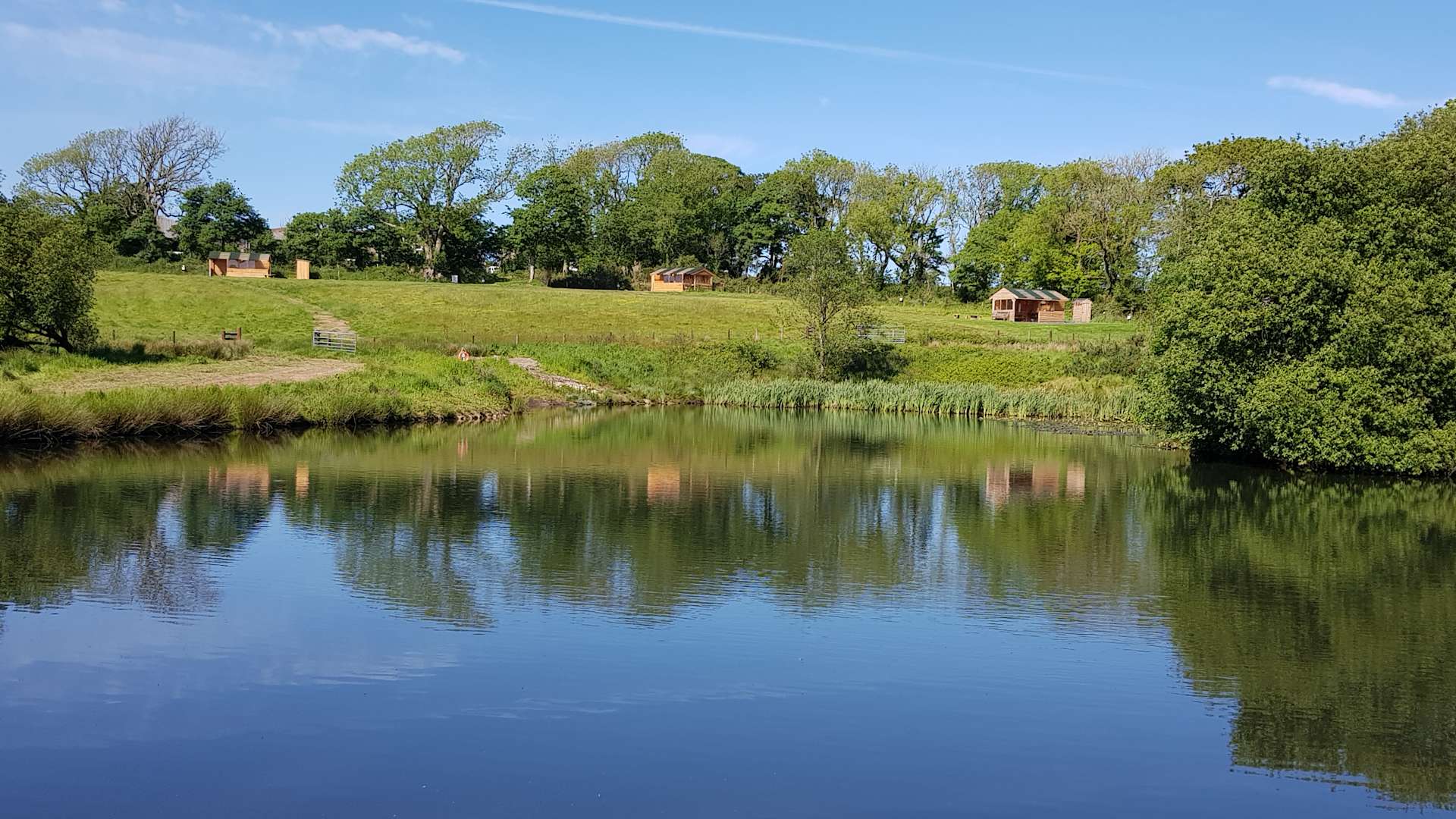 Upper Scolton Camping - Hipcamp in Haverfordwest, Wales