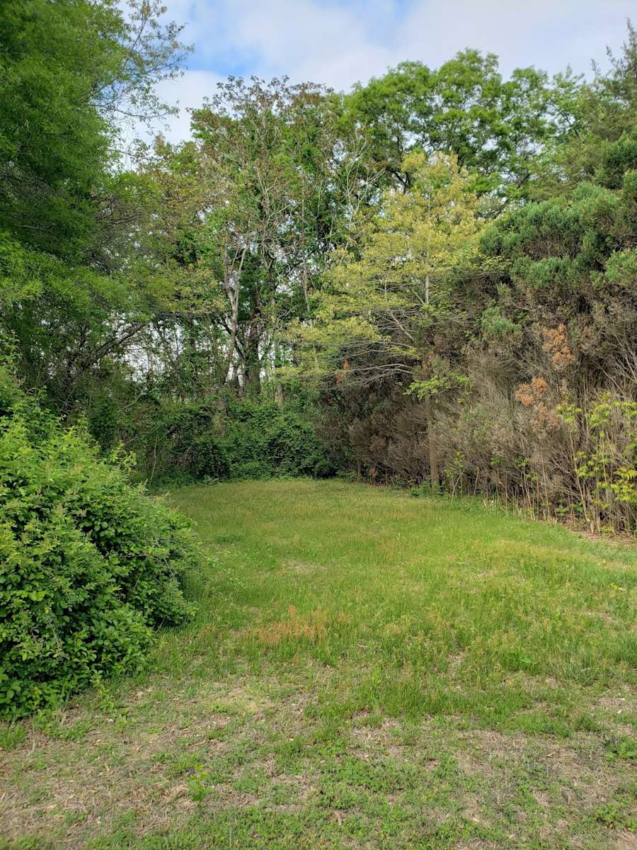 Quarter Acre Farm - Hipcamp in Greensboro, Maryland