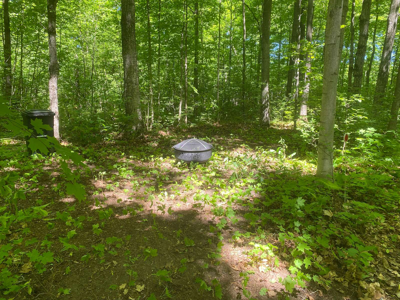 DEER BROOKE WOODLANDS - Hipcamp in Alba, Michigan