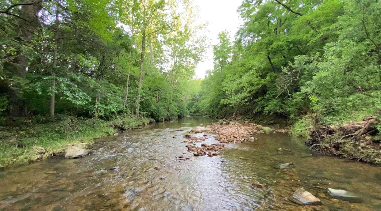 Ozark Creekside Camp @ Spring Creek - Hipcamp in Rolla, Missouri