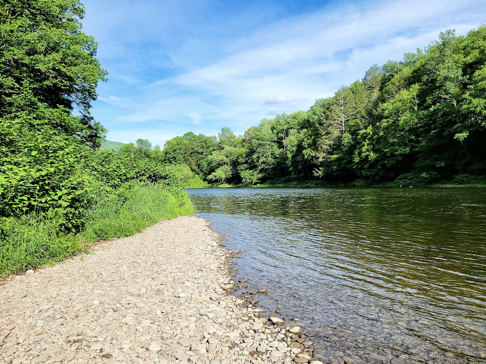 Camp Handsome Hollow - Hipcamp in Long Eddy, New York