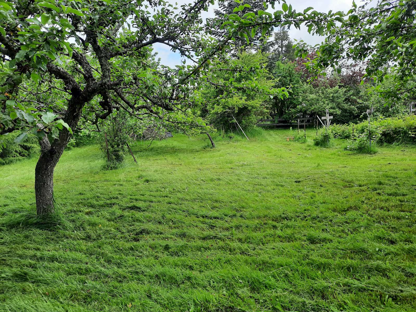 South Orchard Berry Camp - Hipcamp in Poulsbo, Washington