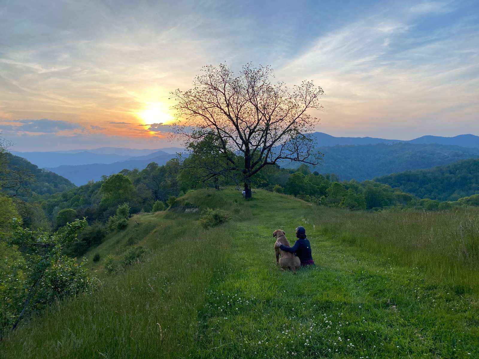 Pause || Eco-Retreat at Aramesh - Hipcamp in Clyde, North Carolina