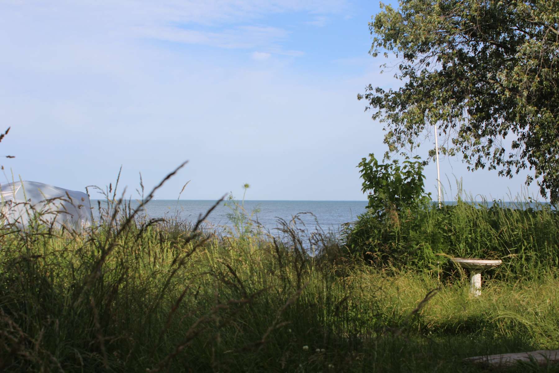 Maple and Milleville Beach - Hipcamp in Rockwood, Michigan