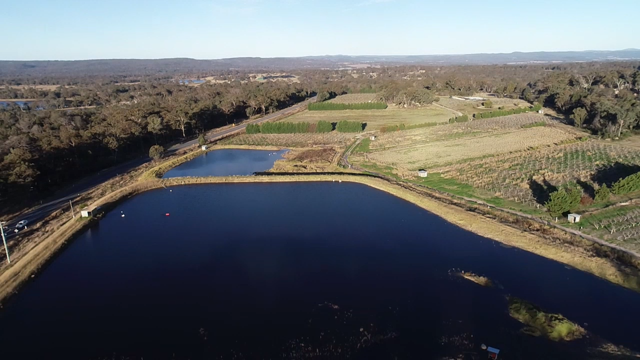 FigTastic Fruit Farm - Hipcamp in Amiens, Queensland