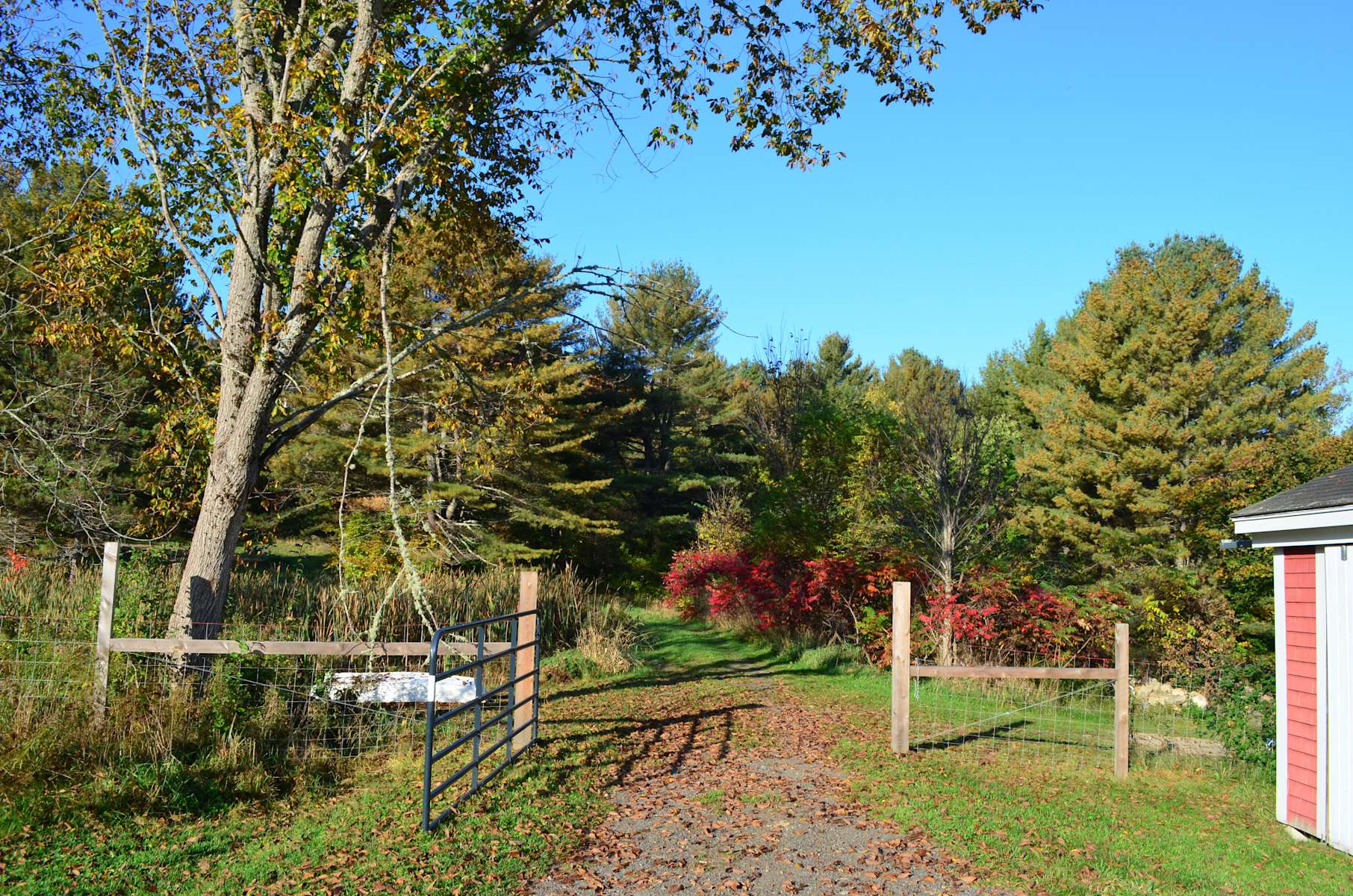 Turtle Rock Farm - Hipcamp in Union, Maine