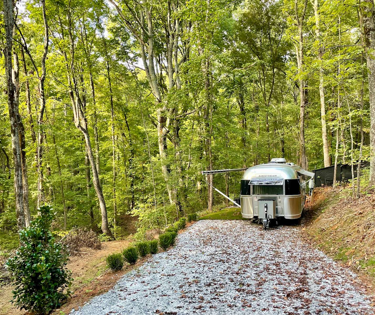 Chicora Landing - Hipcamp in , South Carolina