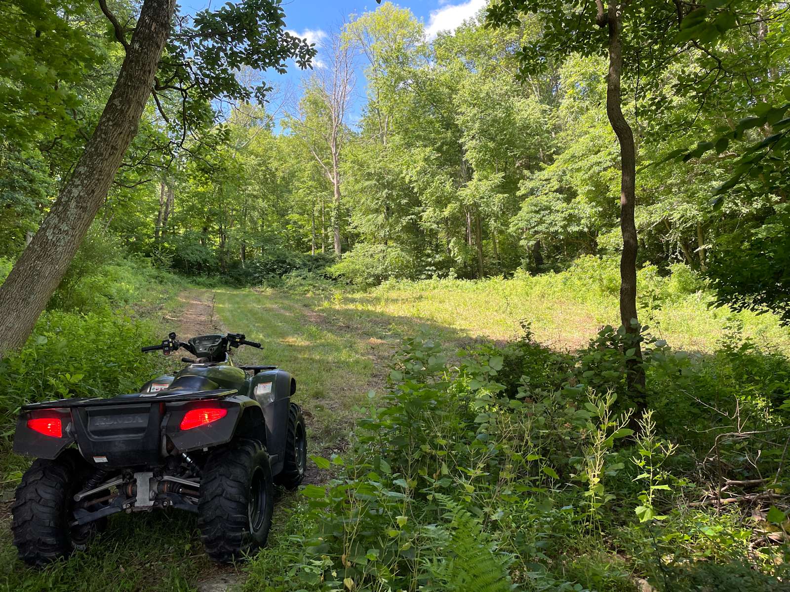 Jenny Jump Mountain - Hipcamp in Great Meadows, New Jersey