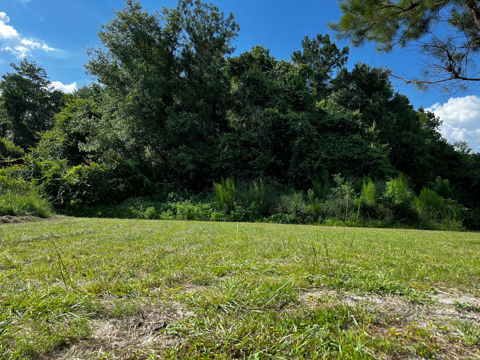 Compound 44 - Hipcamp in Lake City, Florida