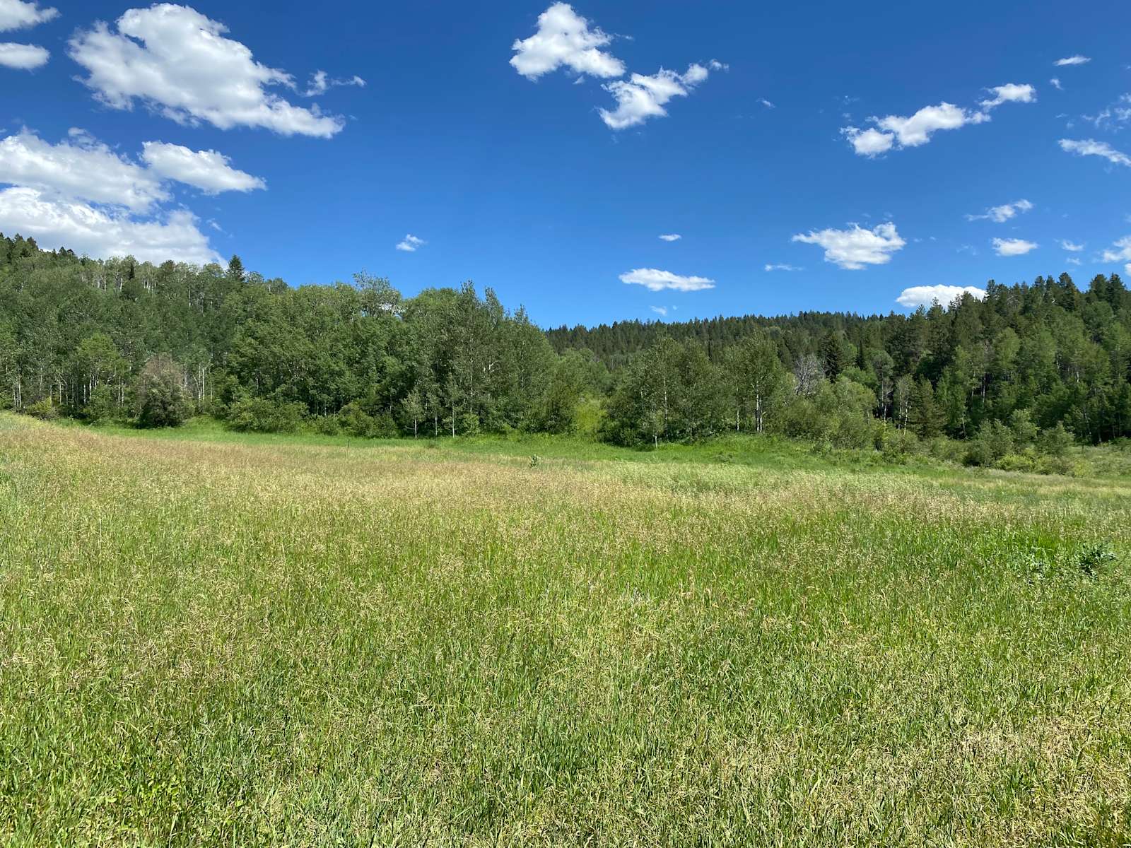 M3 Horse Ranch - Hipcamp in Alpine, Wyoming