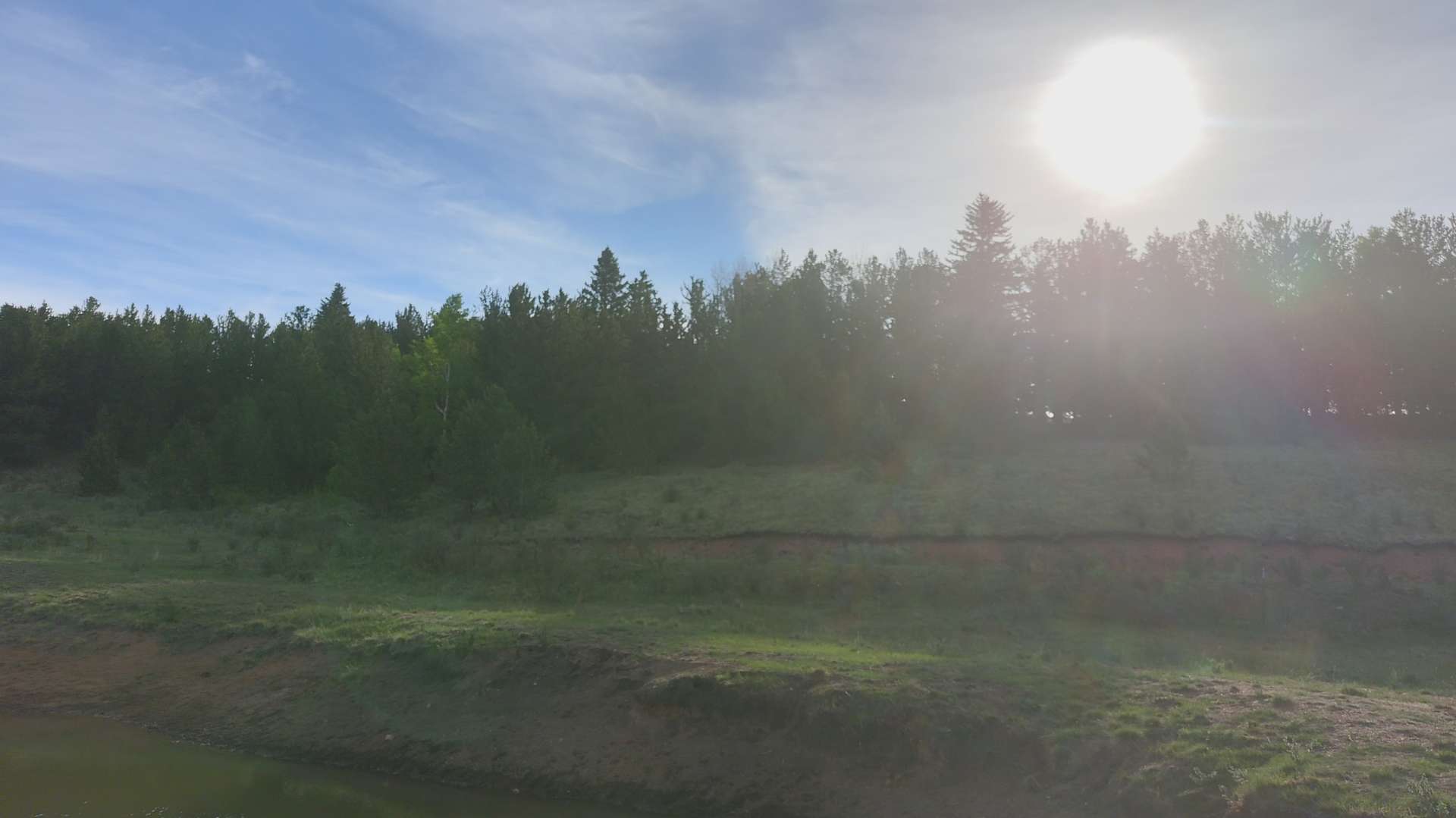 Aspen Splendor Ranch - Hipcamp in Cripple Creek, Colorado