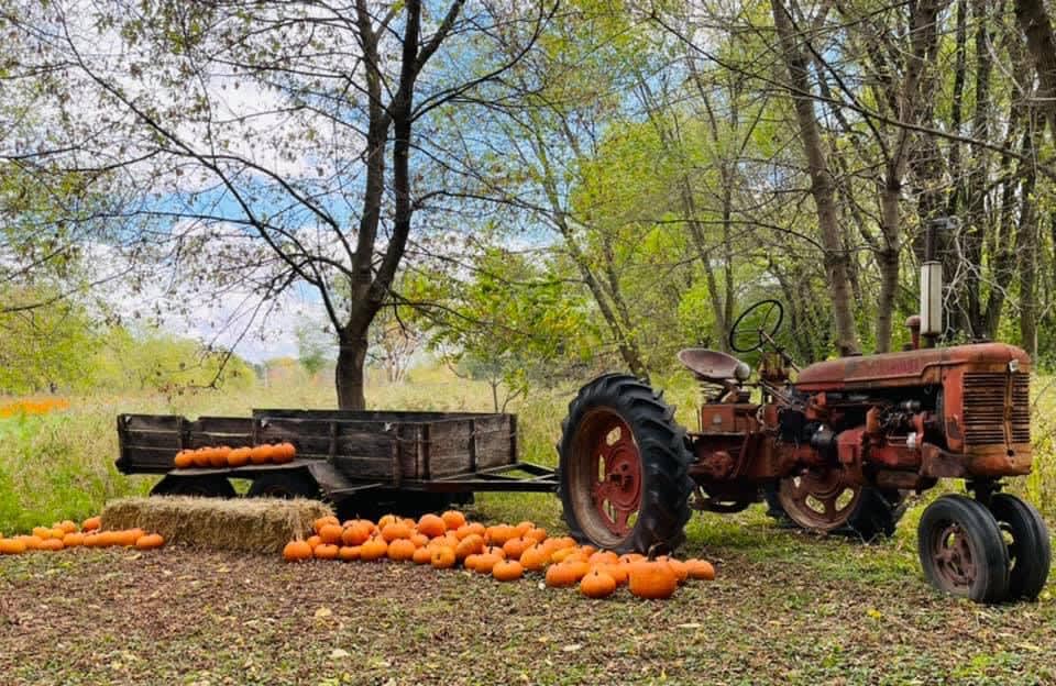 Molin’s Meadows Farm - Hipcamp in Cambridge, Minnesota