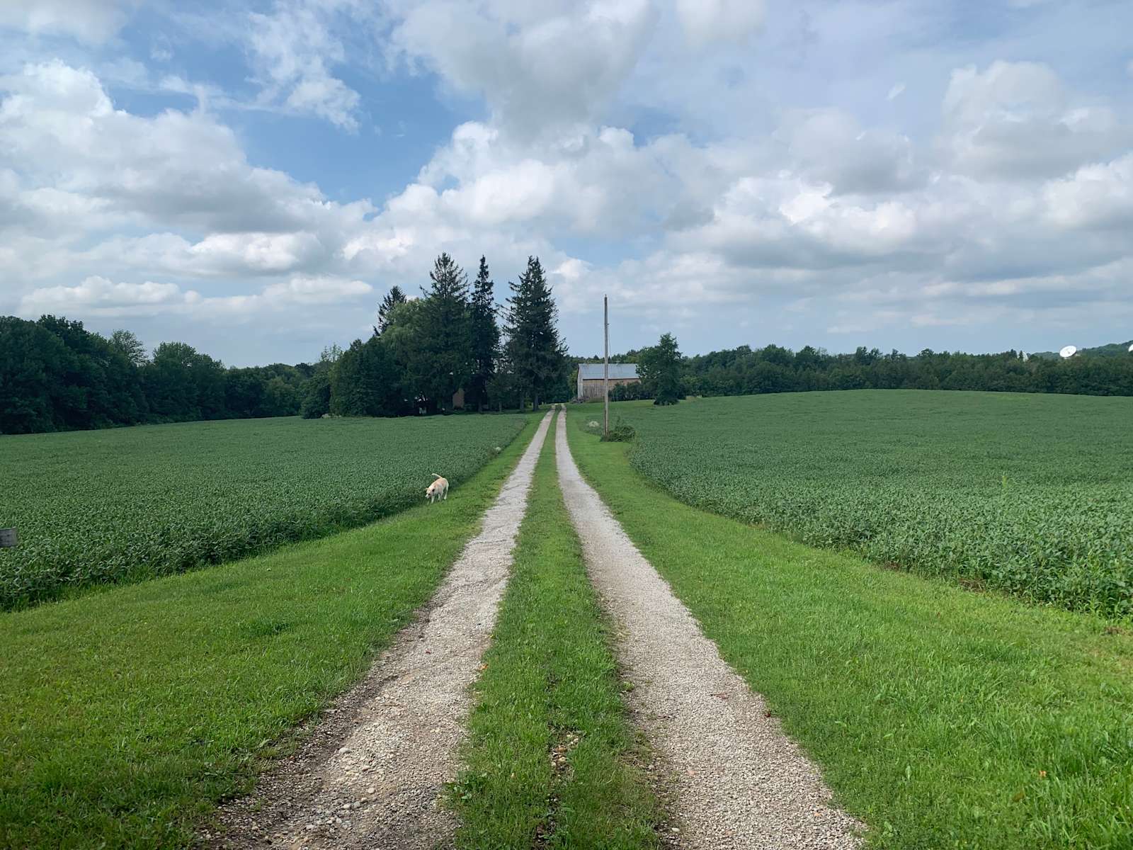 Beaver Ranch - Hipcamp in Owen Sound, Ontario