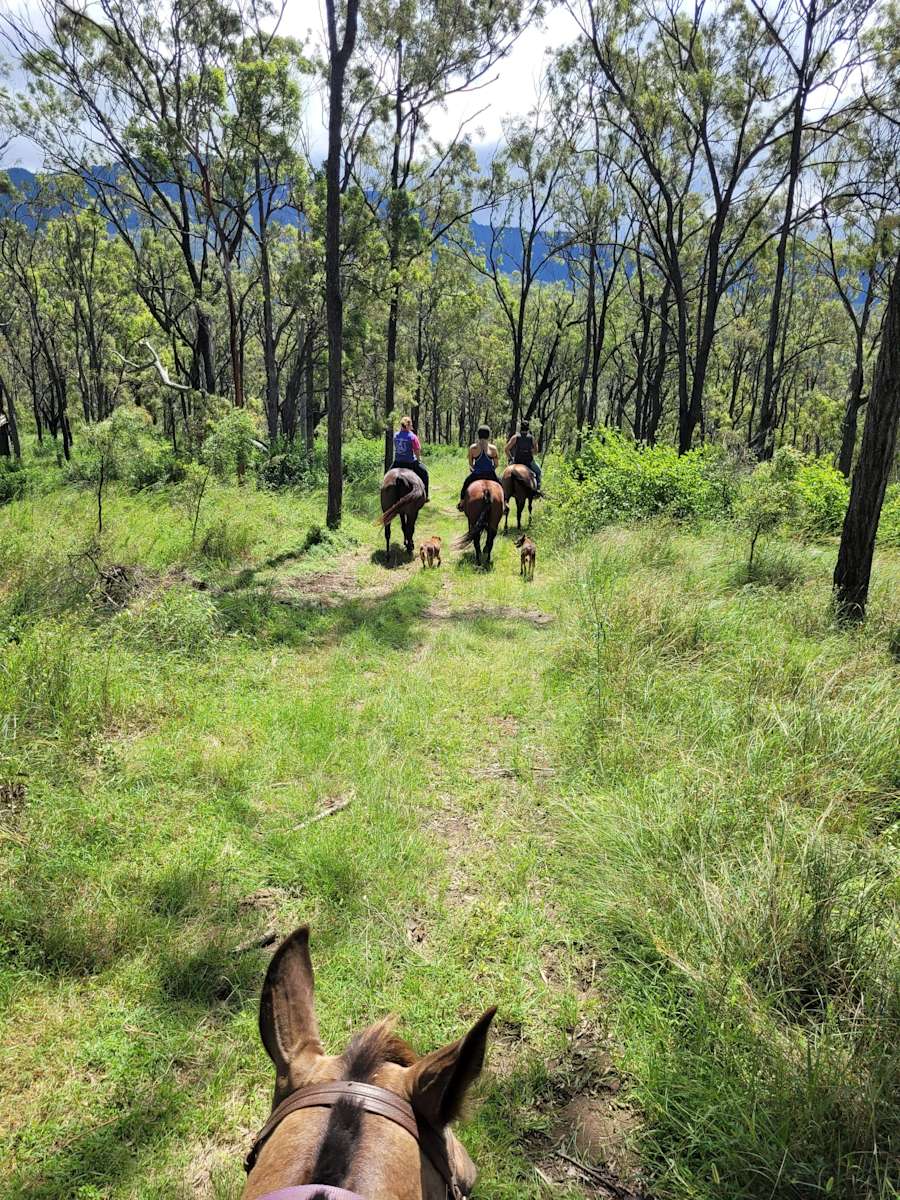 Over the Creek - Hipcamp in Tarome, Queensland