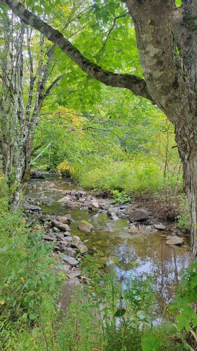 Fluster Cluck Farms - Hipcamp in Baddeck, Nova Scotia