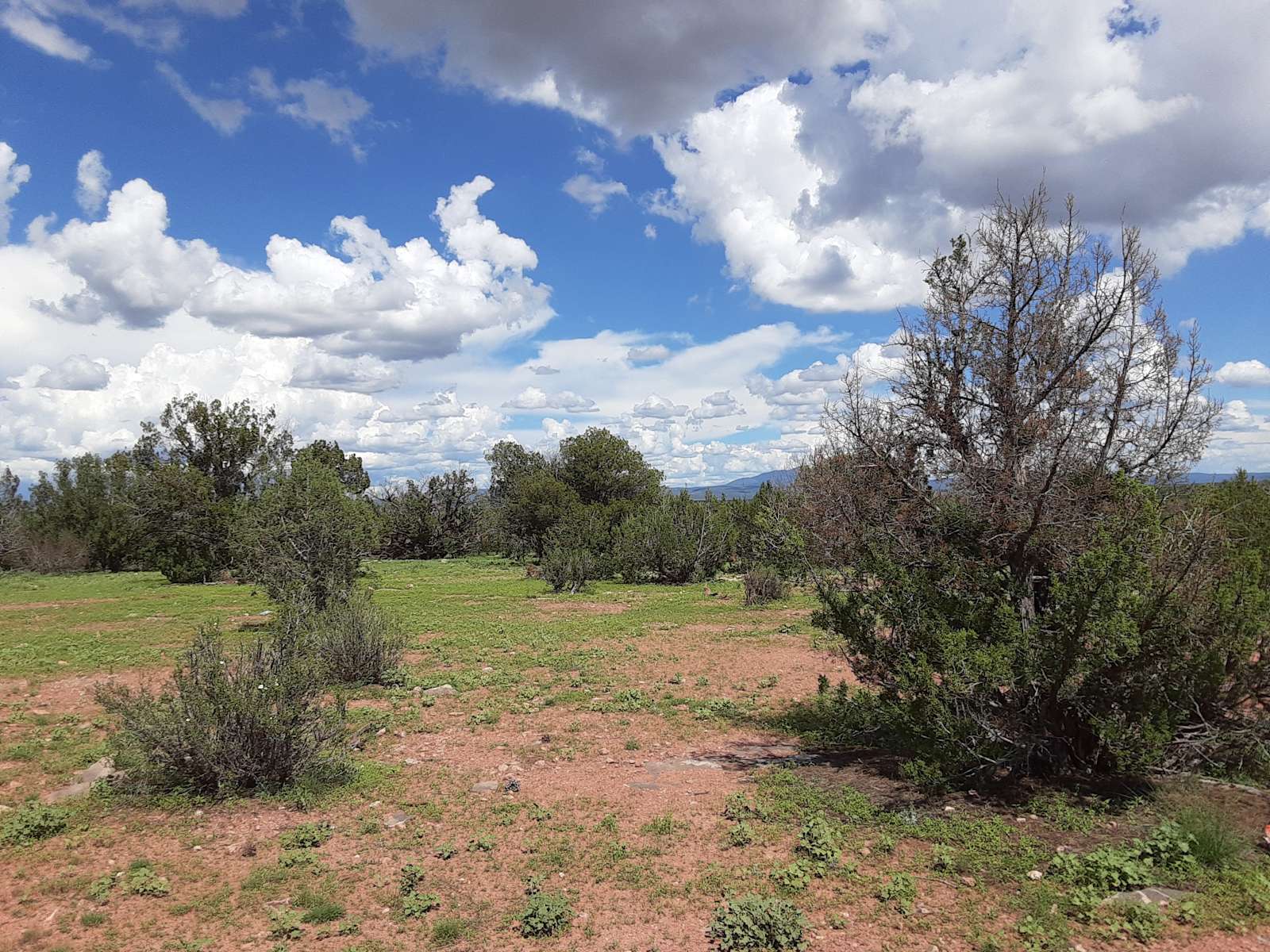 The Ranchlands ~ Lookout View Trail - Hipcamp in Ash Fork, Arizona
