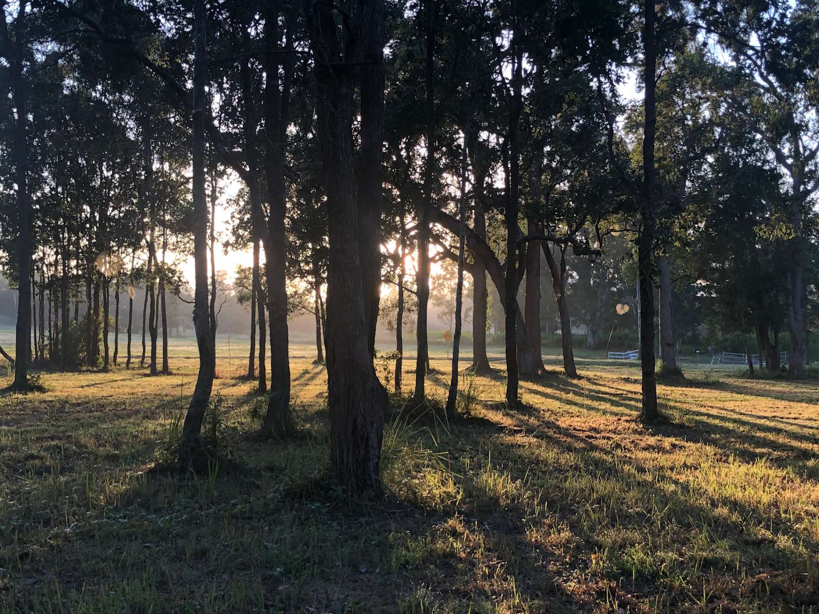 Mountain View Camping - Hipcamp in Kandanga Creek, Queensland