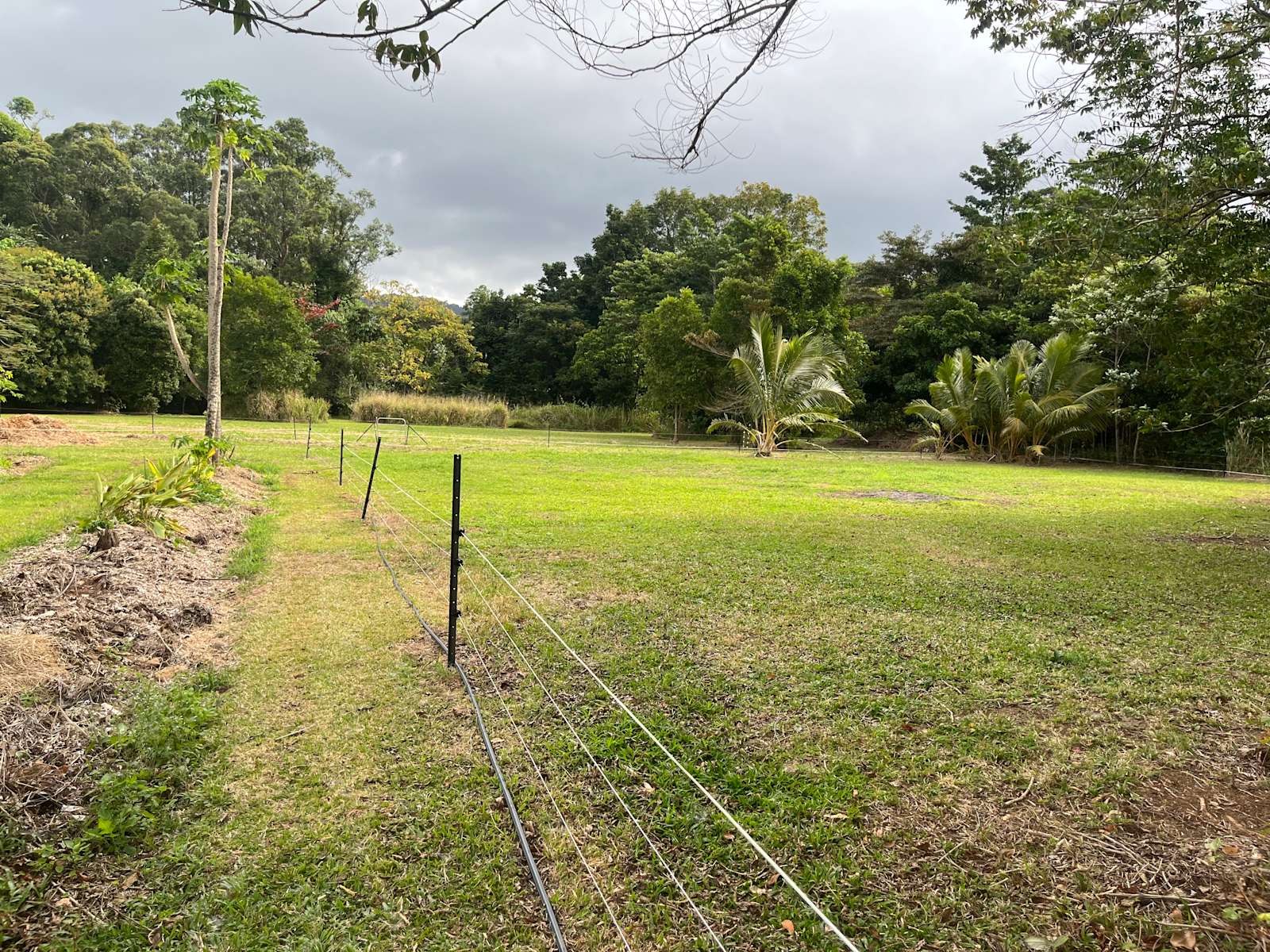 The Cow Shed - Hipcamp in Cow Bay, Queensland