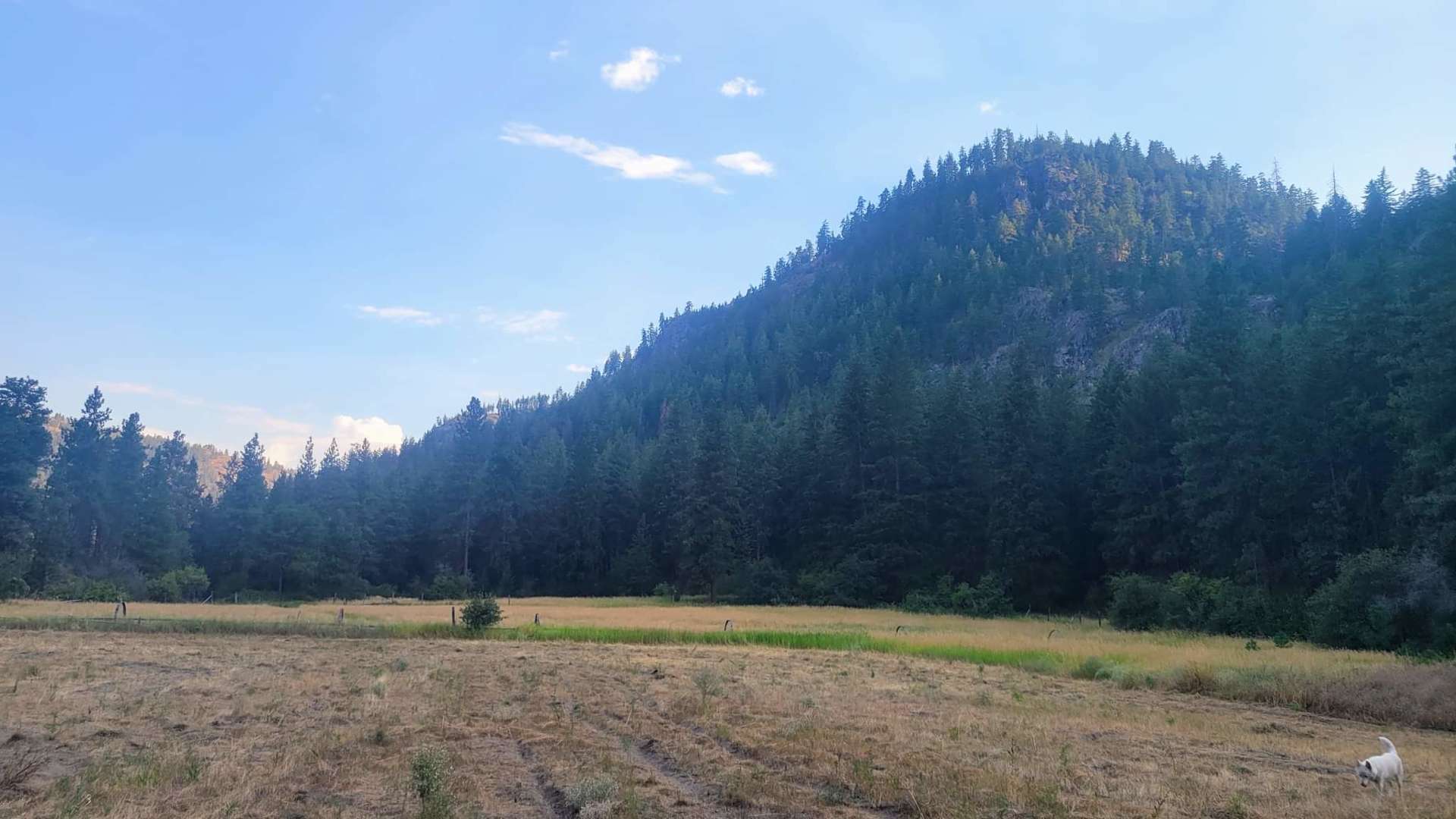 Aurora Meadows - Hipcamp in Chelan, Washington